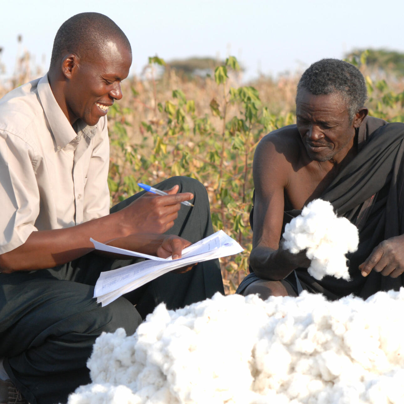 Cotton - Textile Exchange