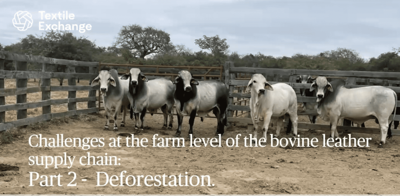 Deforestation - Textile Exchange