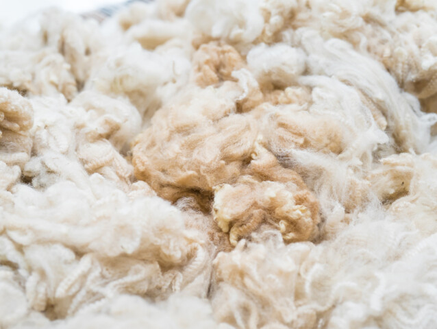 Standards Transition - Textile Exchange