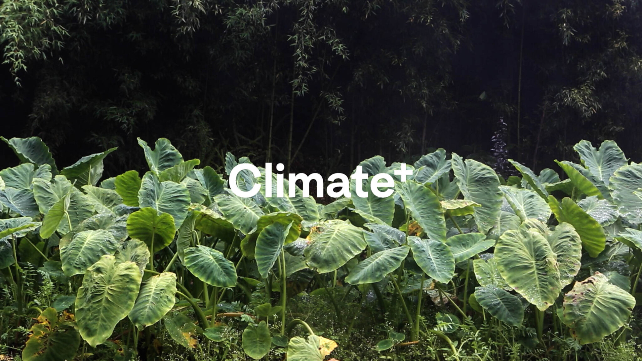 Home Page - Textile Exchange