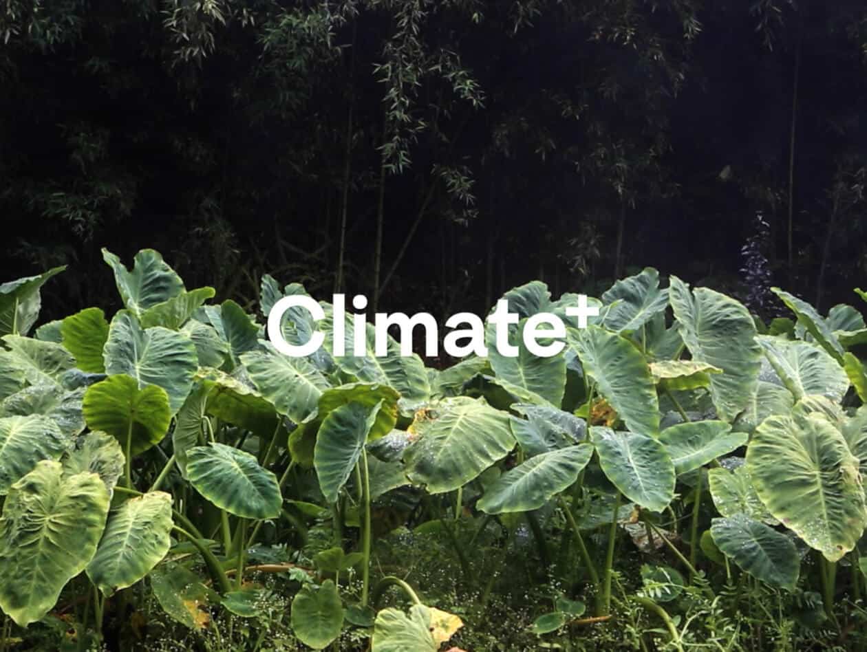 Climate+ Vision - Textile Exchange