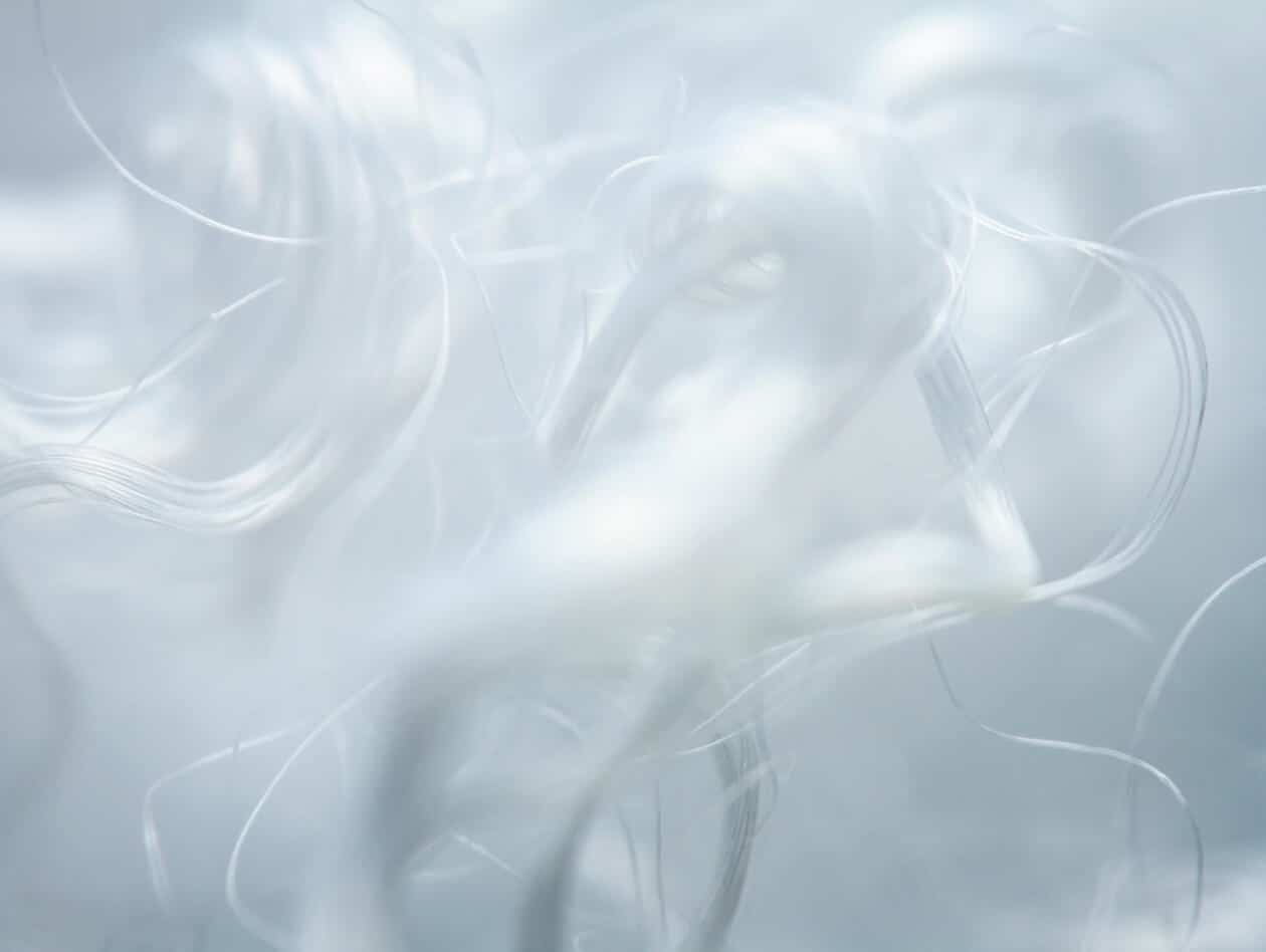 Polyester - Textile Exchange