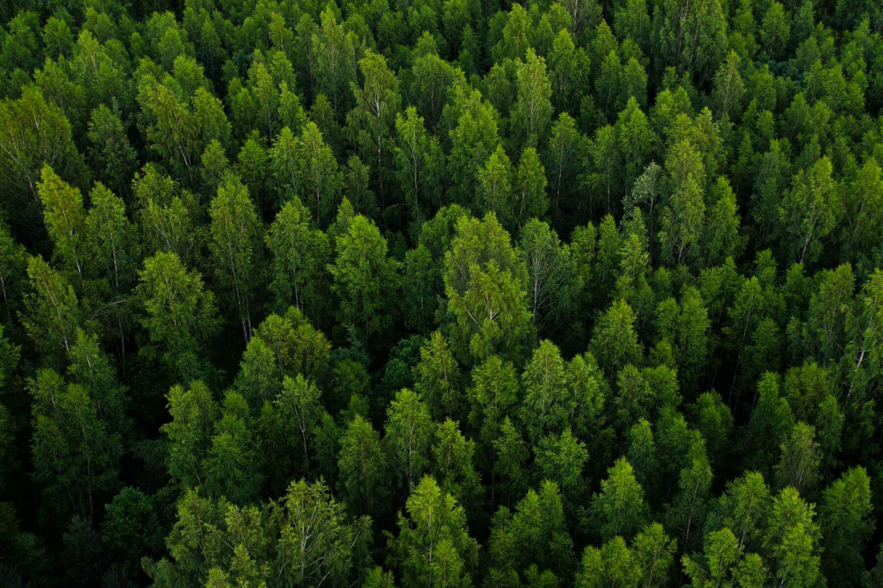 Knowledge Center - Textile Exchange