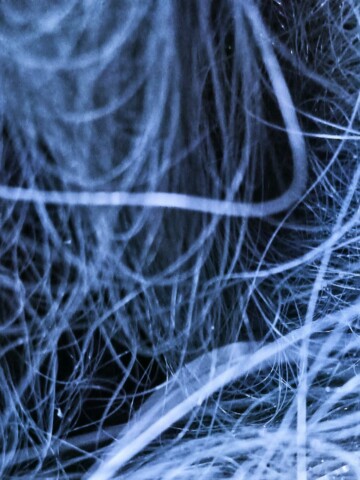 Nylon - Textile Exchange