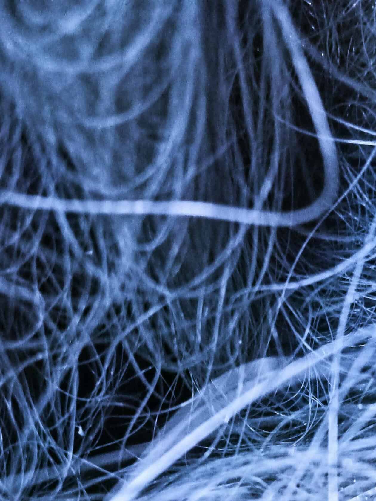 Nylon - Textile Exchange