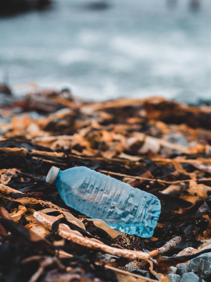 Polyester - Textile Exchange