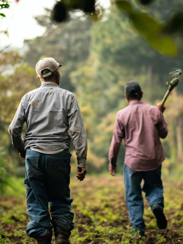 Organic Content Standard (OCS) - Textile Exchange