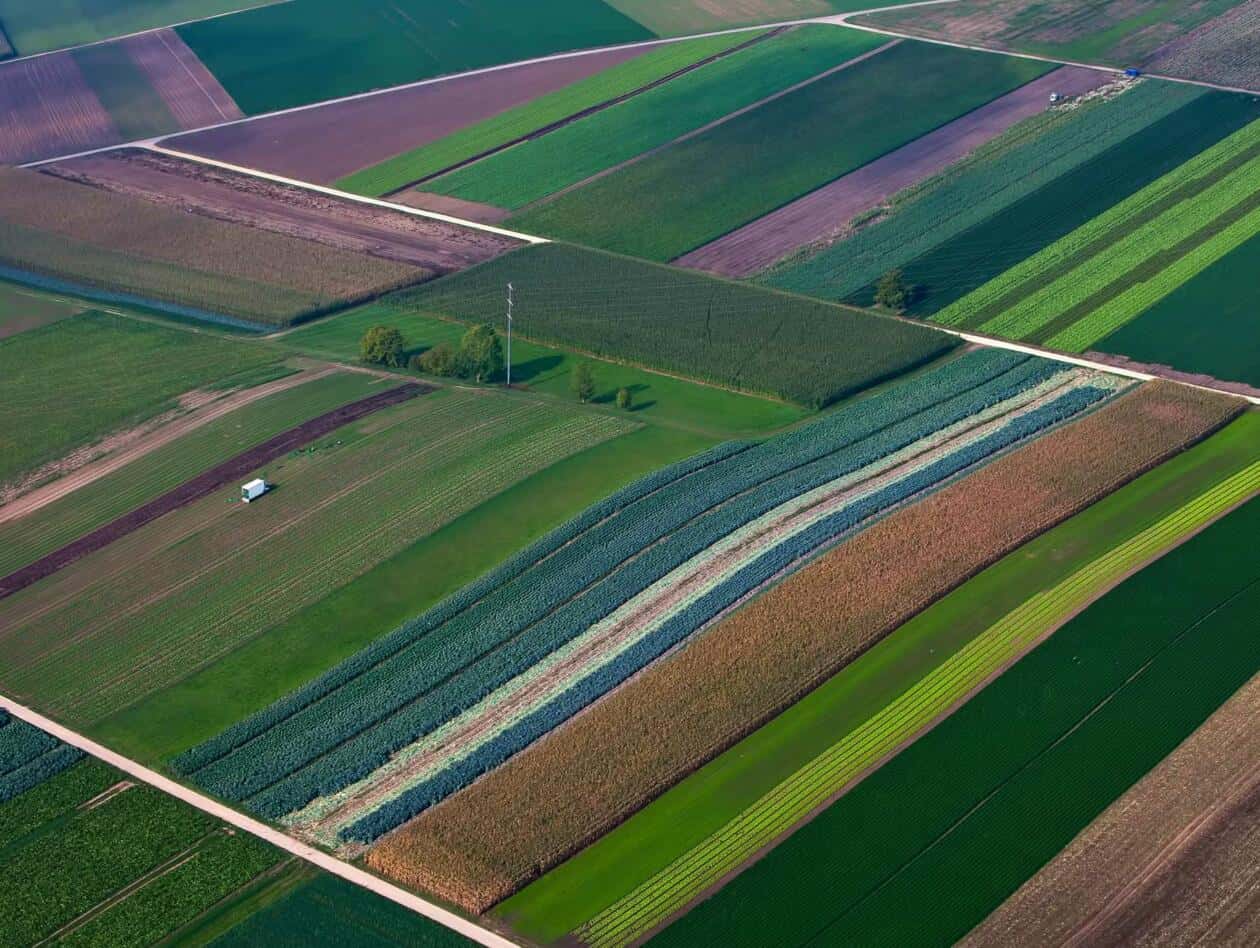 Organic Content Standard (OCS) - Textile Exchange