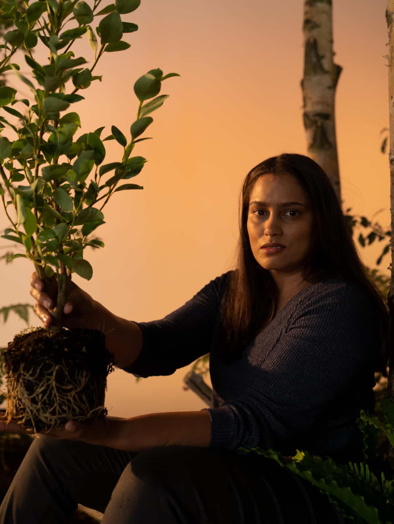 Become a Member - Textile Exchange