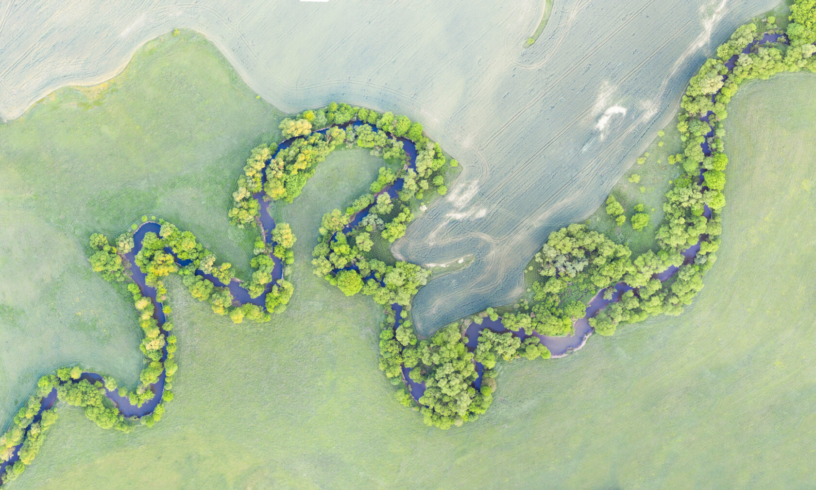 Landing A New Deal for Nature: What the Global Biodiversity Framework ...