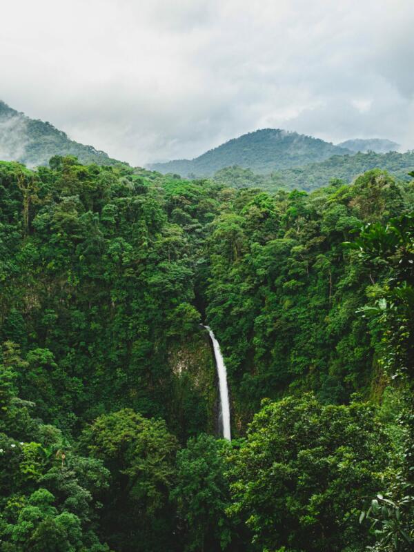 Climate+ Vision - Textile Exchange