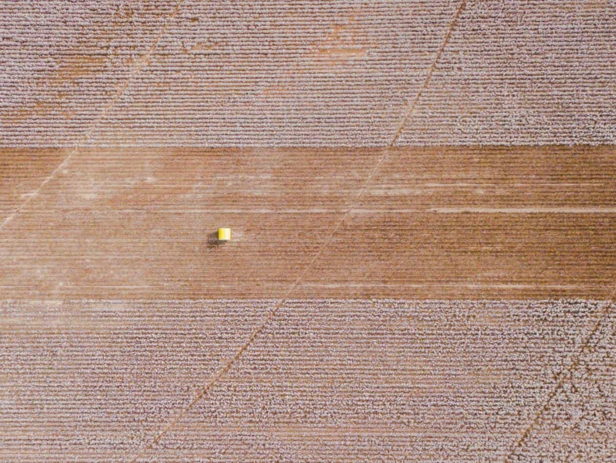 Home Page - Textile Exchange