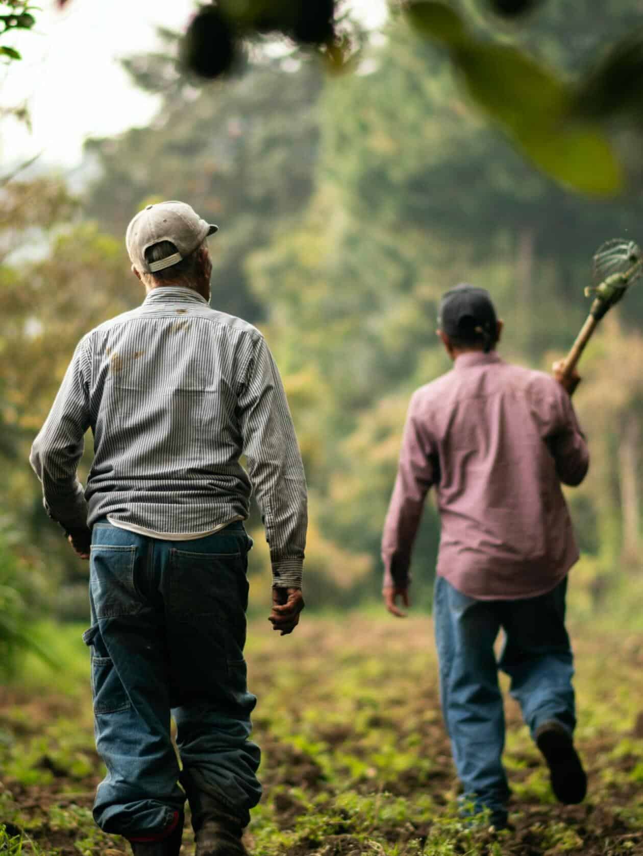 Climate+ Vision - Textile Exchange