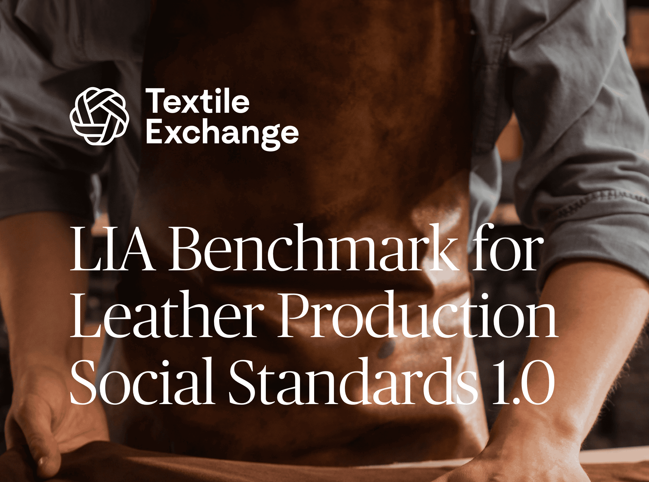 LIA-162 Benchmark for Leather Production Social Standards, V1.0 ...