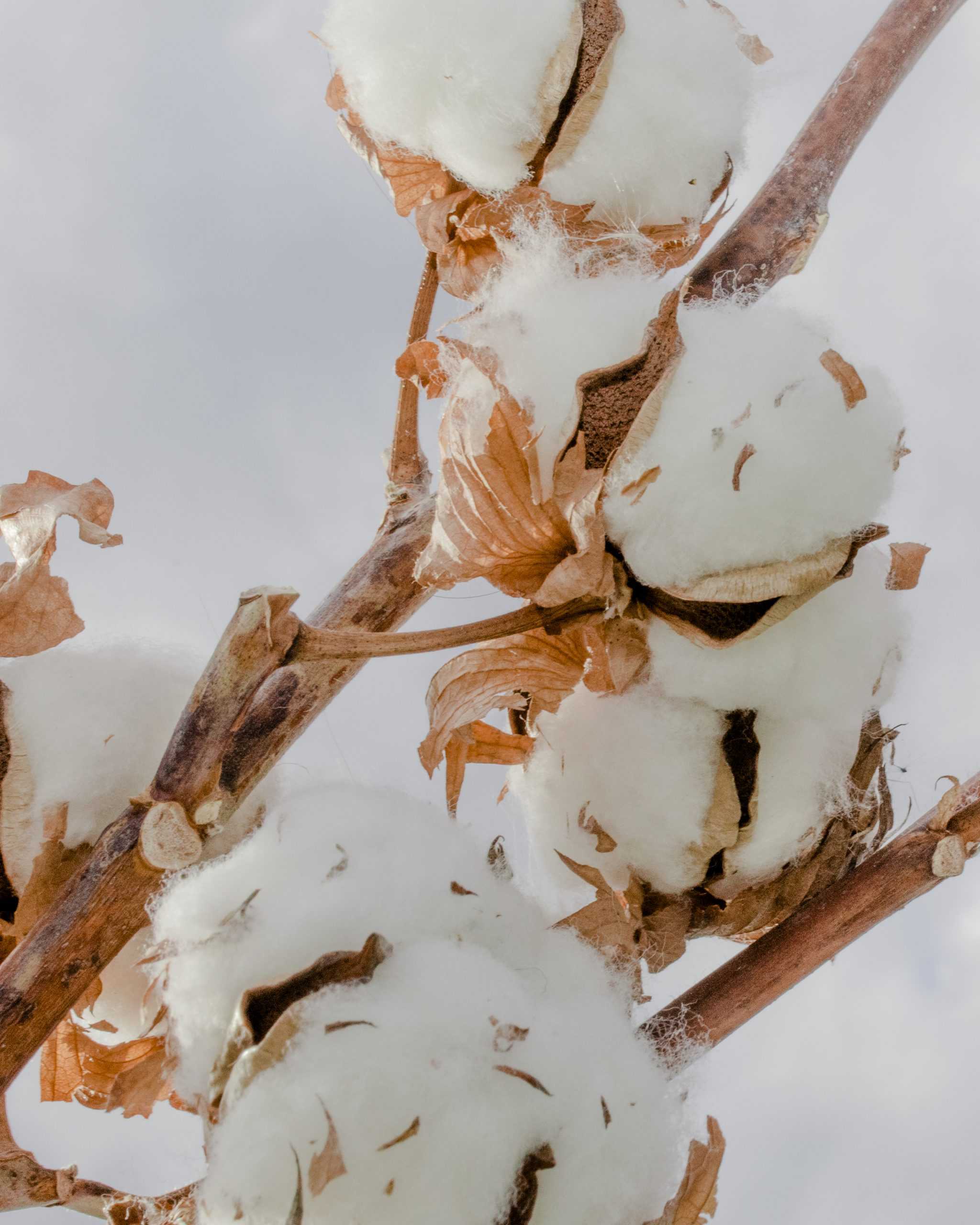 Talking Transparency with Industry Leaders - Textile Exchange