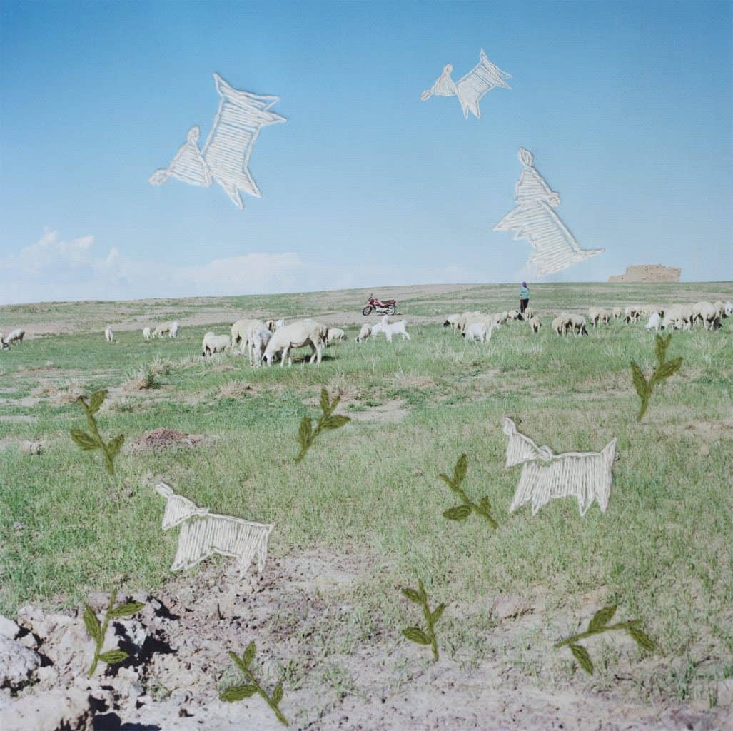 Exploring Nomadic Wool Production in Inner Mongolia - Textile Exchange