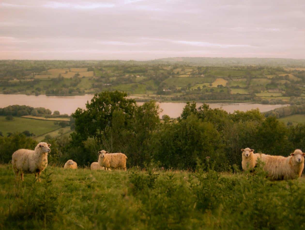 TE-ID - Textile Exchange