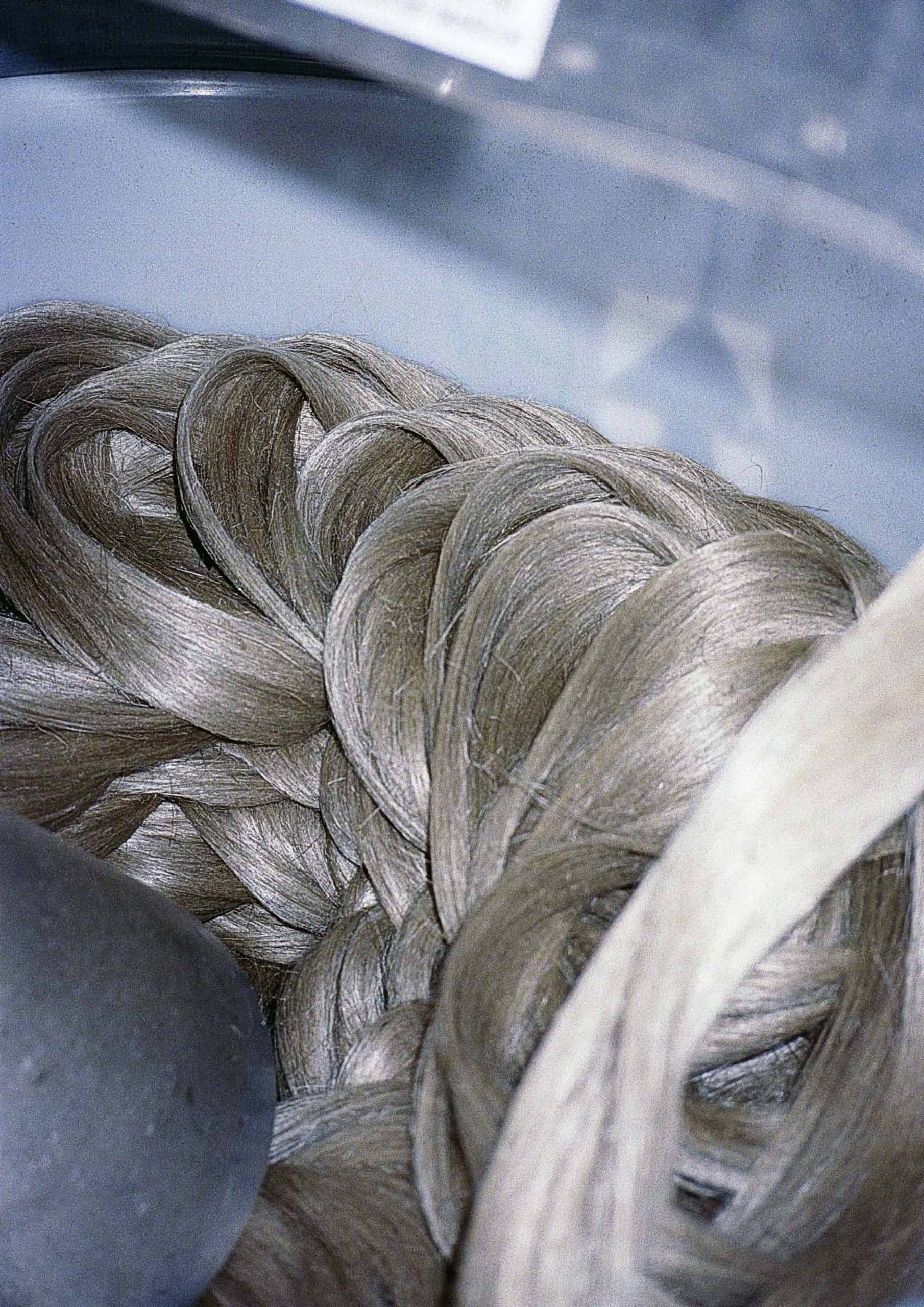 The Lineage of Linen on France's Fields