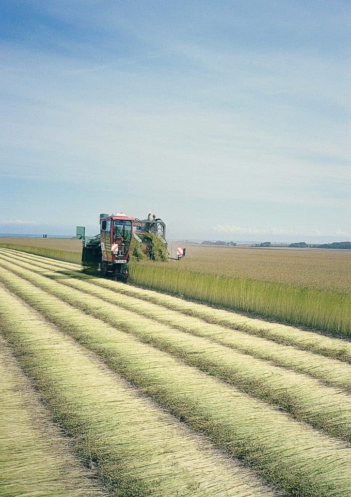 The Lineage of Linen on France's Fields