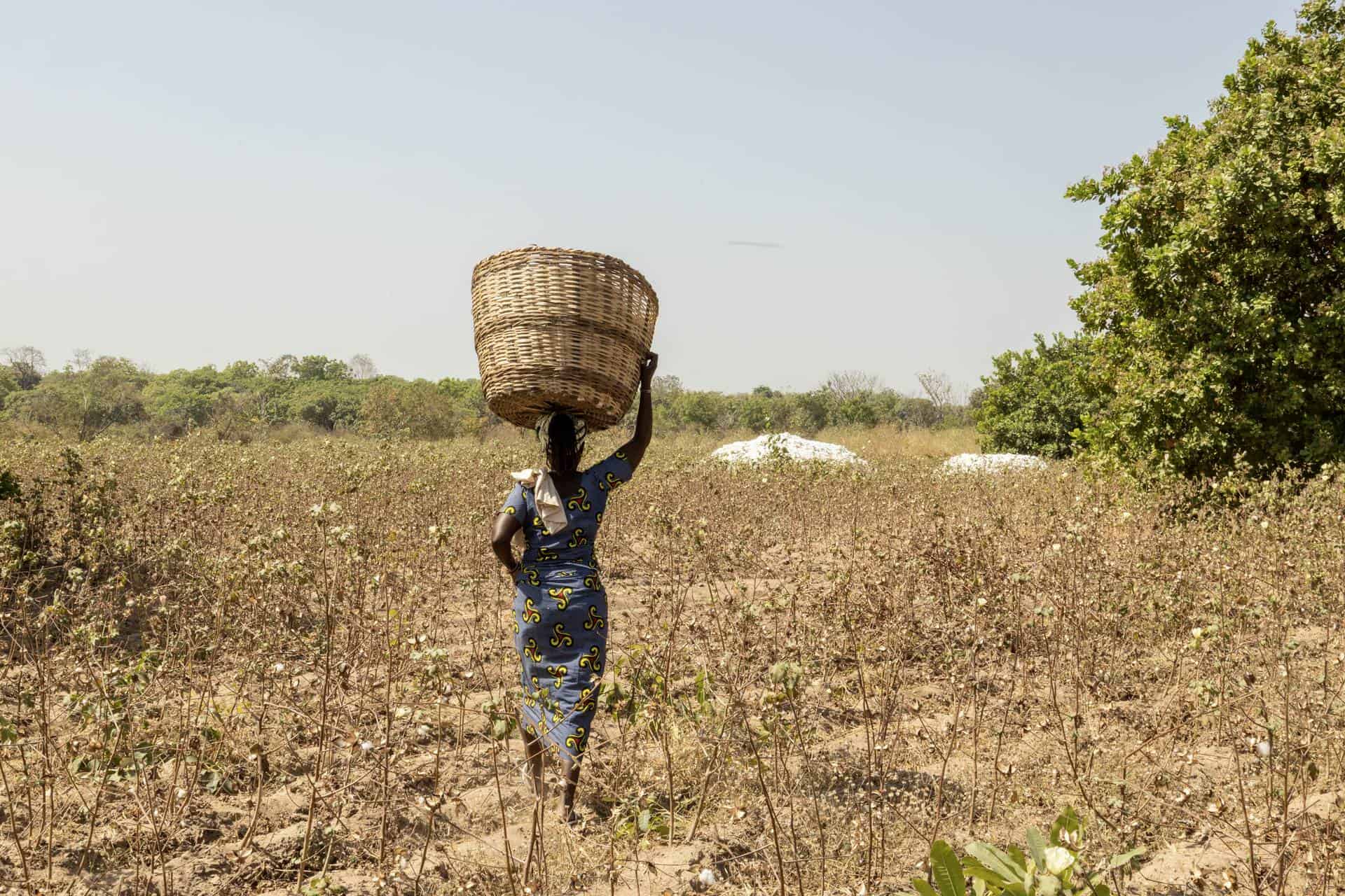 Empowering Cotton Communities in Aklampa, Benin - Textile Exchange