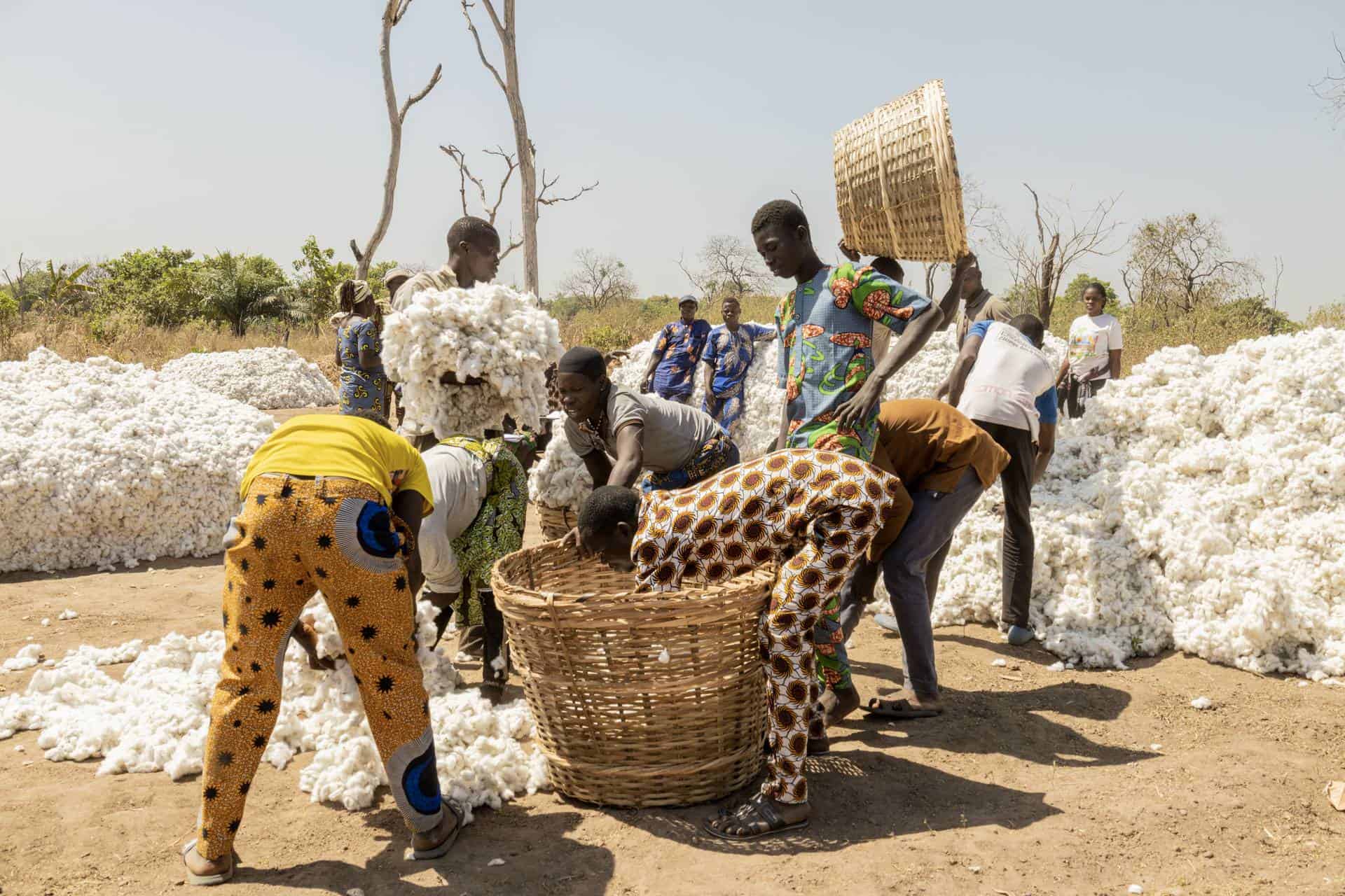 Empowering Cotton Communities in Aklampa, Benin - Textile Exchange
