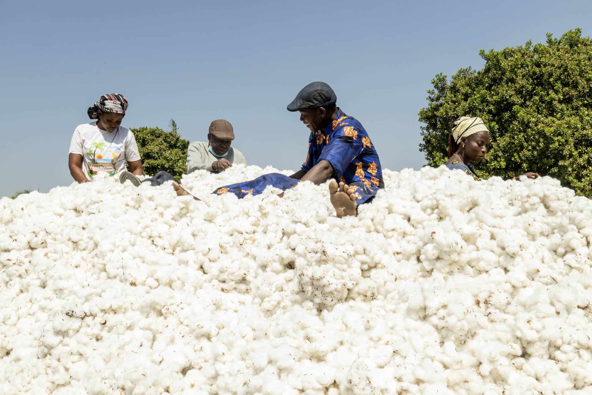 Fiber and Materials Matrix - Textile Exchange